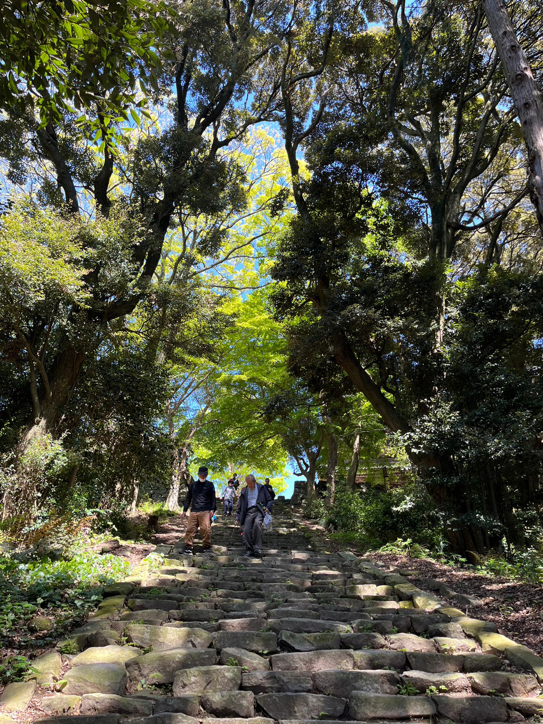 LINE_ALBUM_20230427安土城跡散策_230428_1 - 西の湖カレンダー